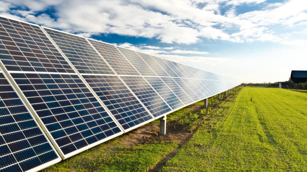 Can you really grow vegetables under solar panels in Oregon? | Climate ...